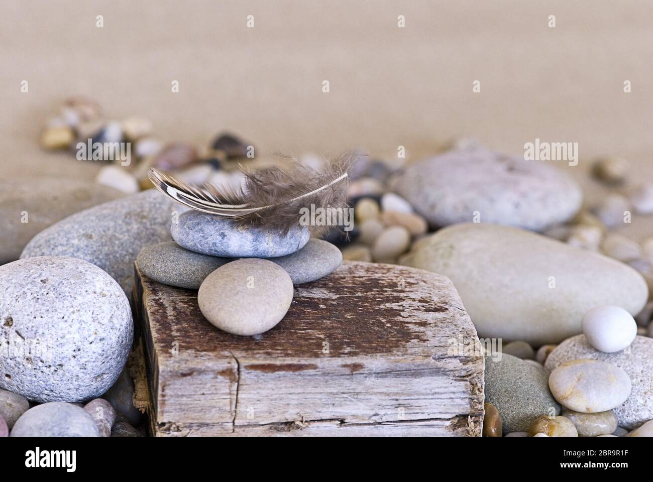 maritime still life with pebble, driftwood and feather Stock Photo - Alamy