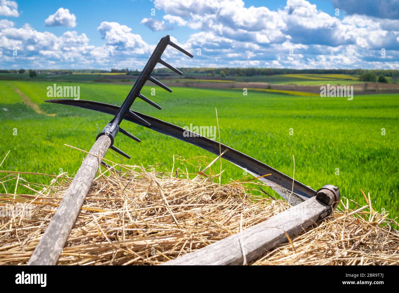 Rake and scythe on dried straw in an agricultural field in spring ...