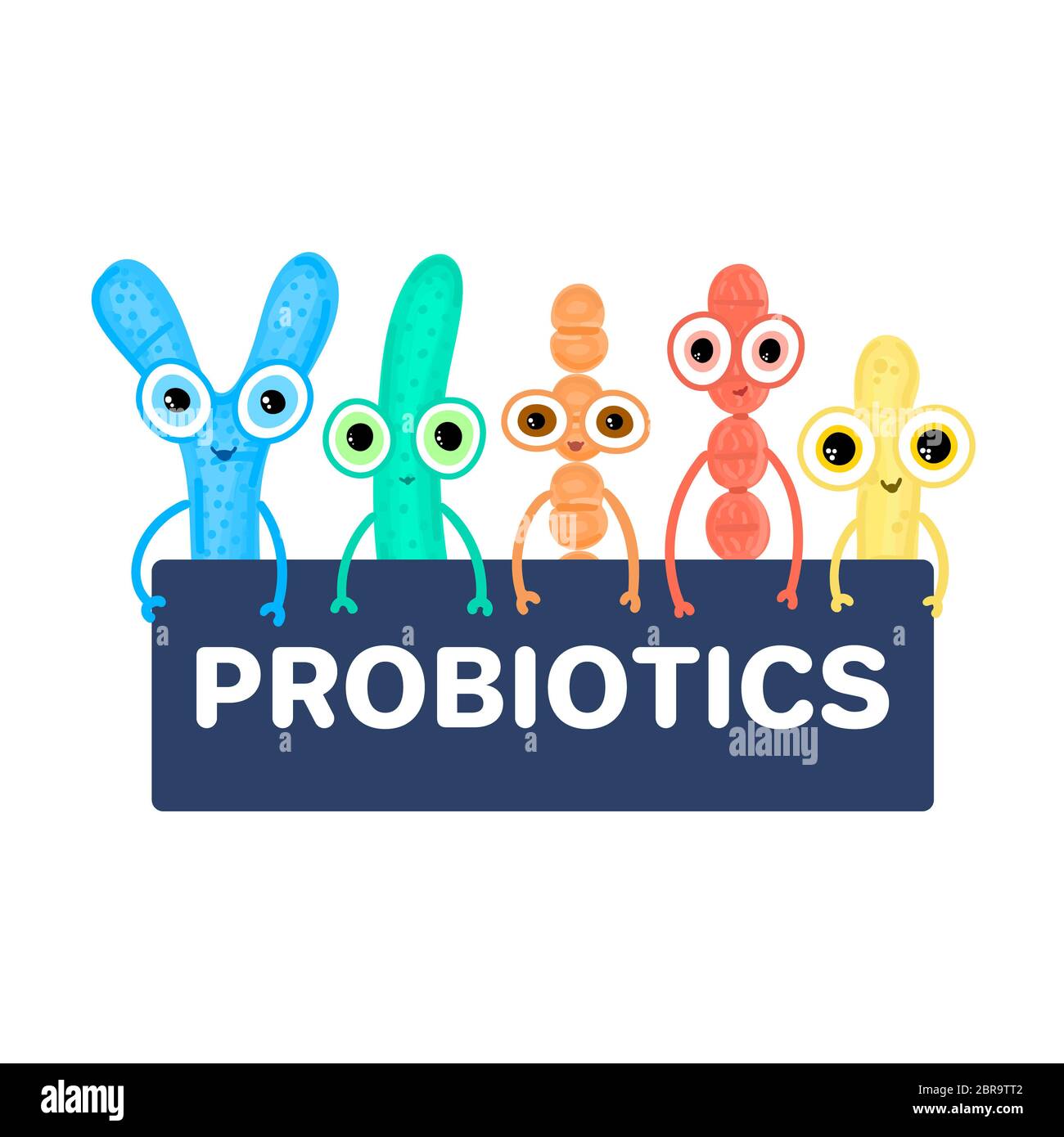 Probiotics. Lactic acid bacterium. Bifidobacterium, lactobacillus ...