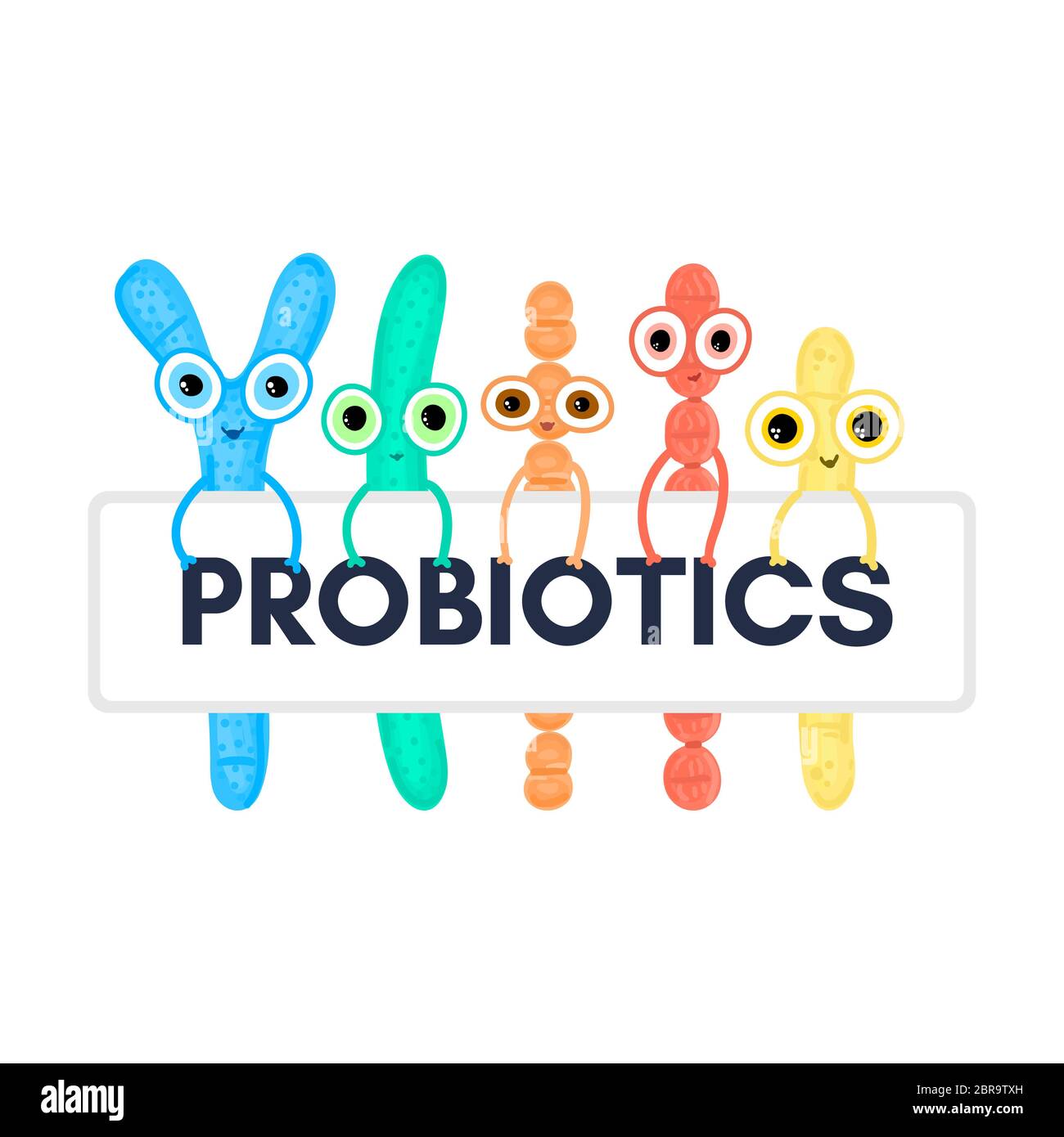 Probiotics. Lactic acid bacterium. Bifidobacterium, lactobacillus ...