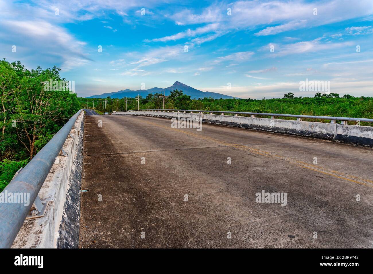 Road with bridge and tree nature in sunlight, Way and bridge in nature ...