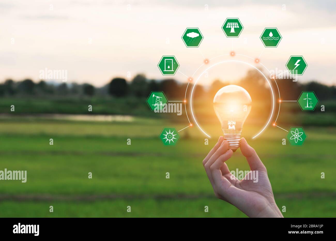 Innovation and energy concept of hand hold a light bulb and copy space ...