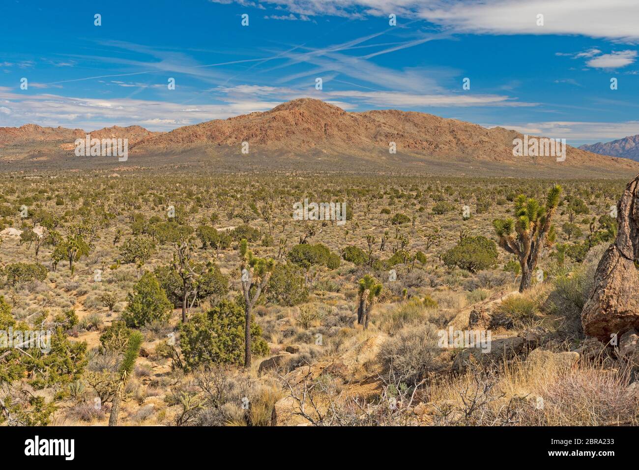Desert Mountain Panorama in Early Spring in the Mojave National ...