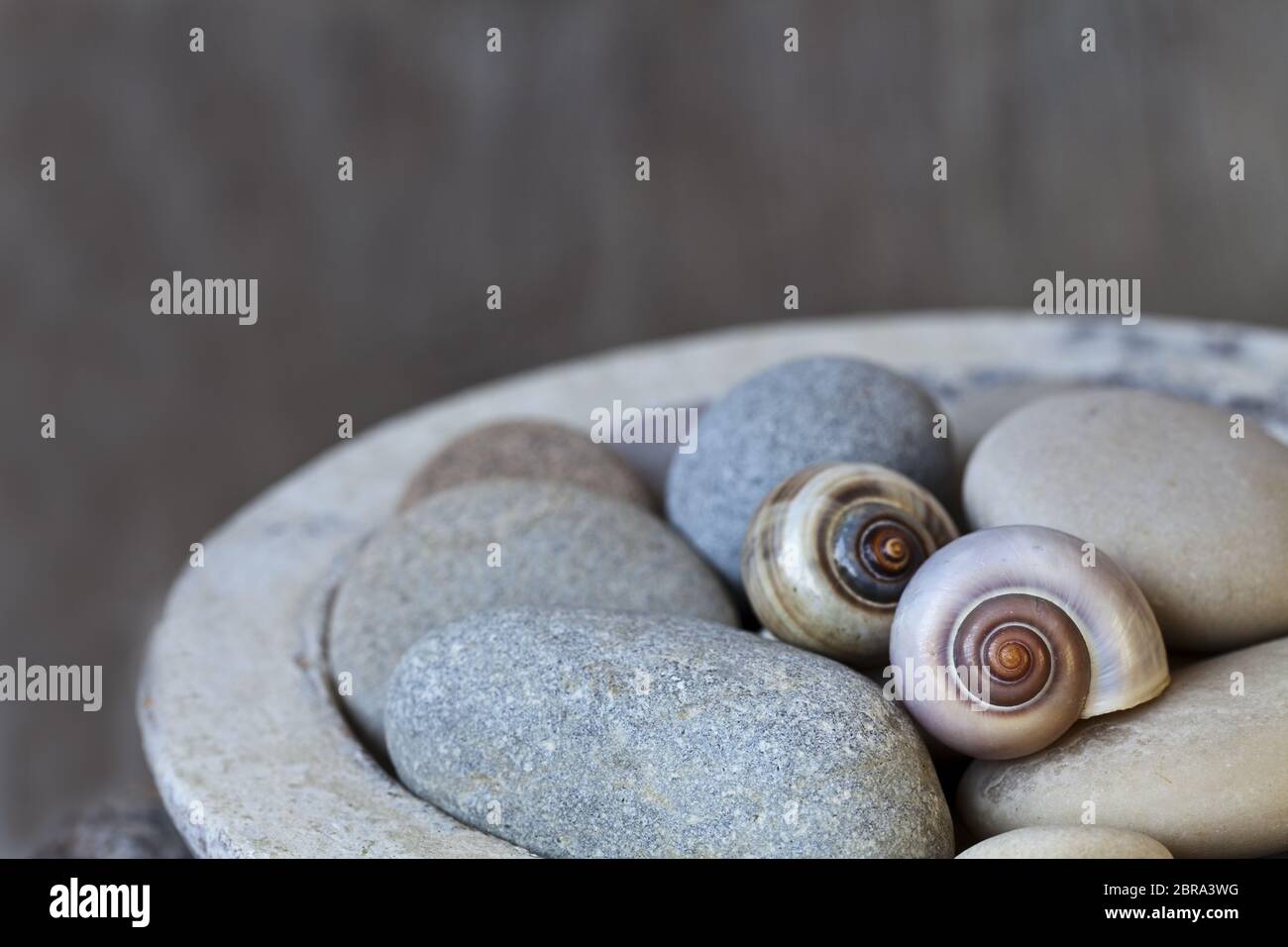 zen style still life with pretty snail shells and pebble Stock Photo ...