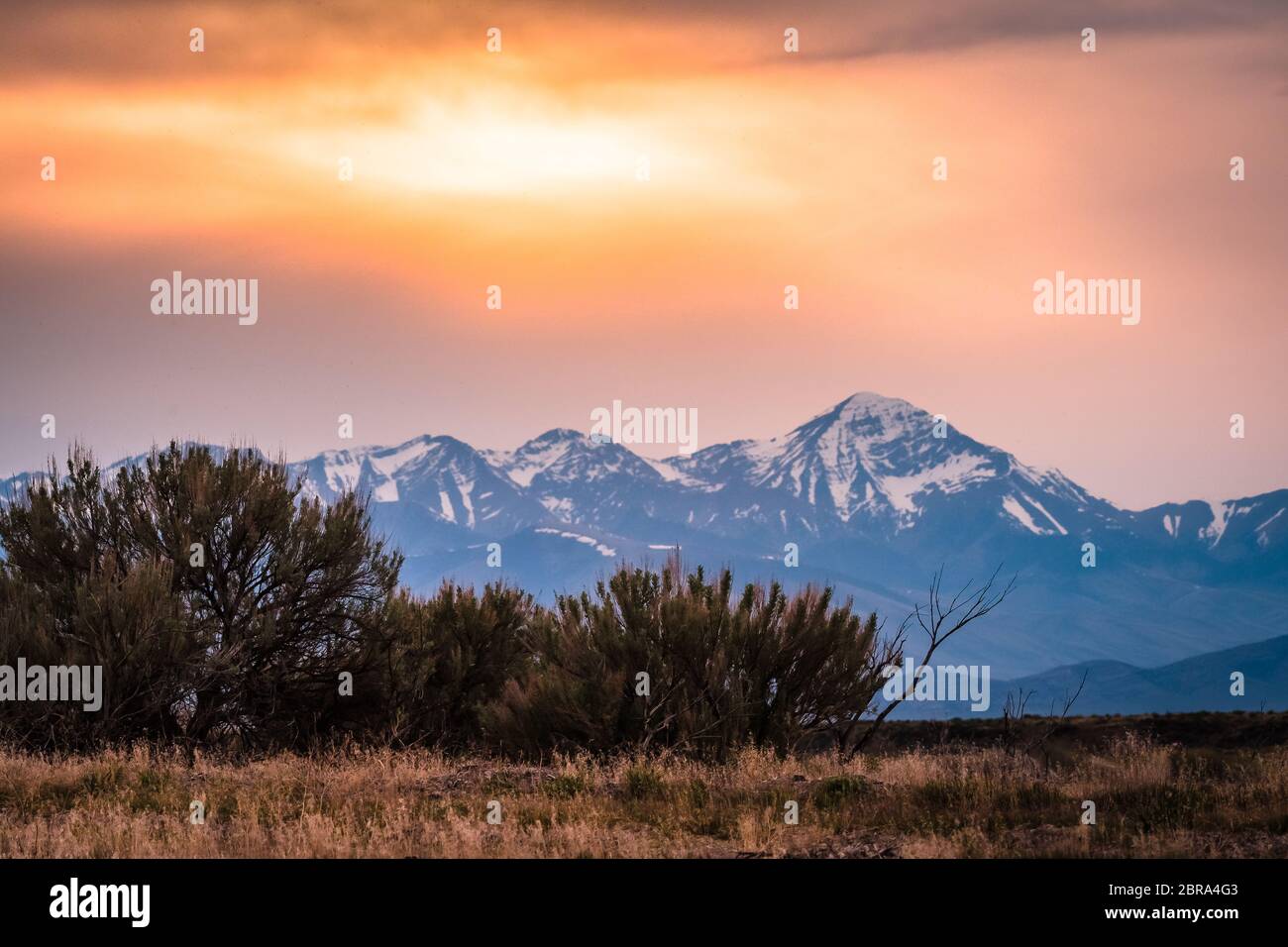 Lemhi range hi-res stock photography and images - Alamy