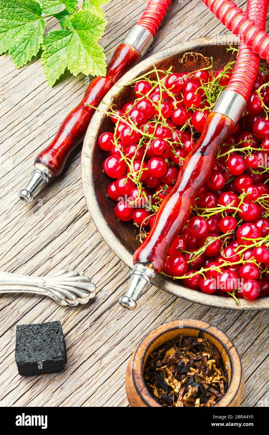 Hookah mouthpiece.Fruit shisha aroma.Tabak with red currant flavor ...