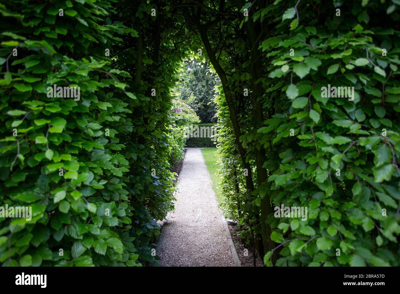 Walkway with green trees in a beautiful garden colorful Stock Photo - Alamy