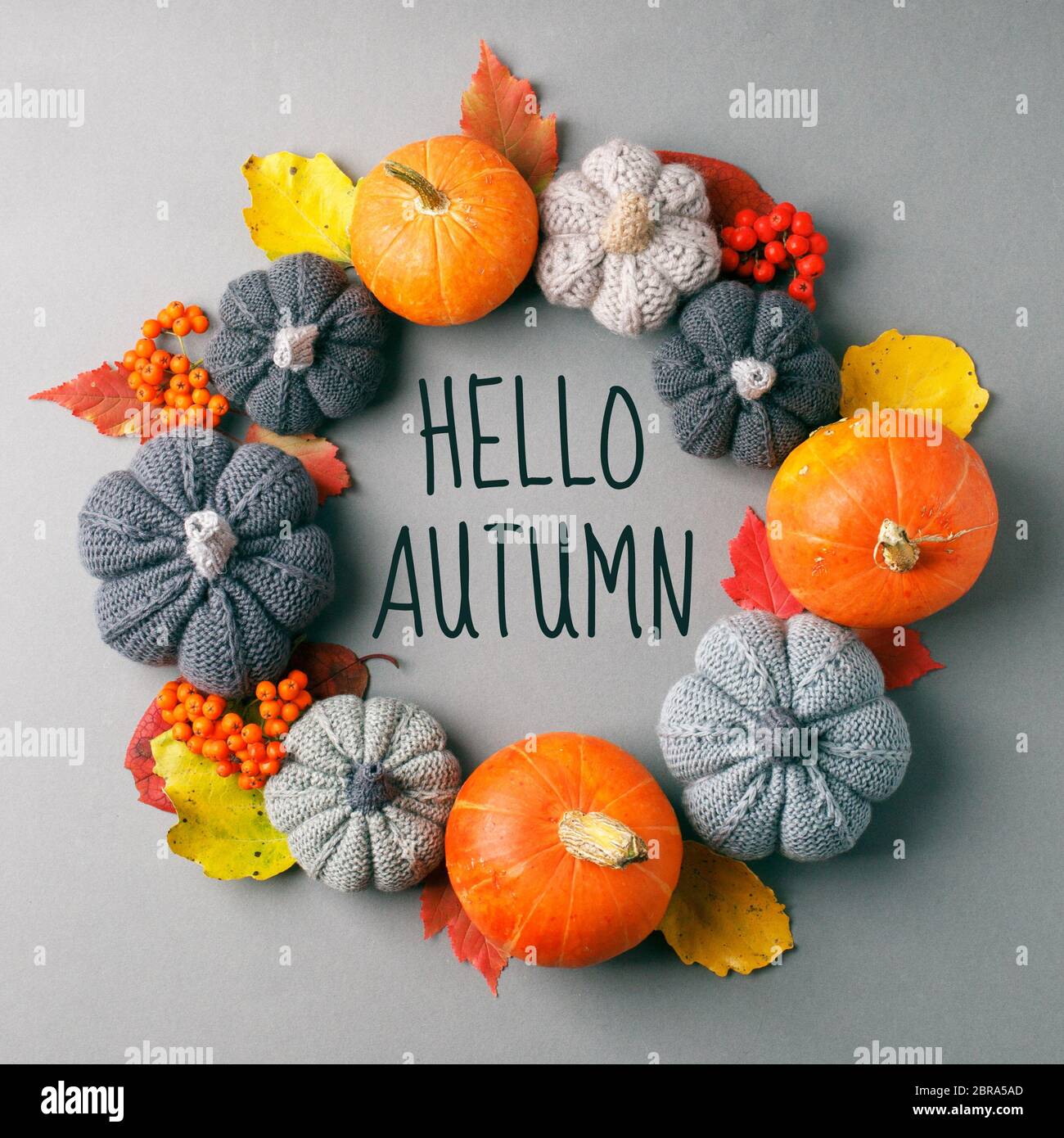 Hello autumn hi-res stock photography and images - Alamy
