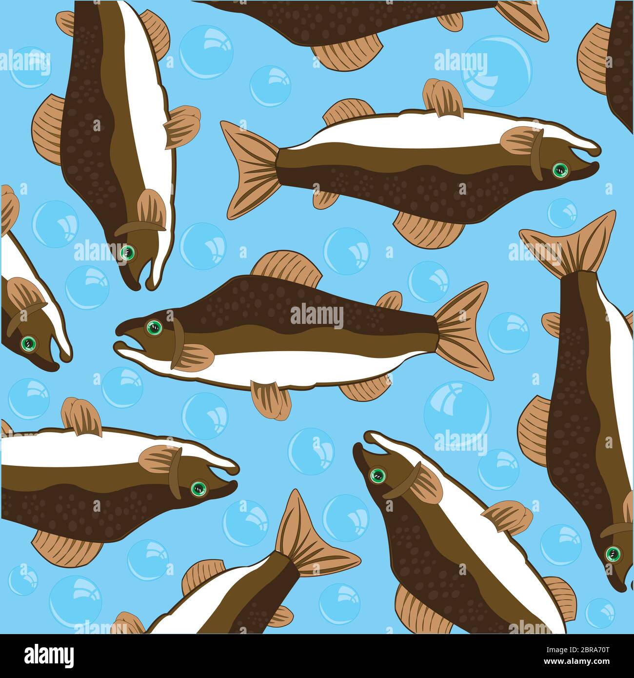 Fish salmon decorative pattern on turn blue background is insulated ...