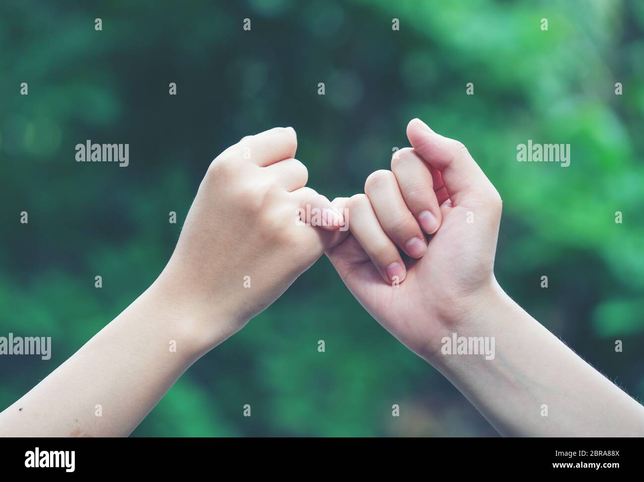hands hook each other's little finger on nature background, concept of ...