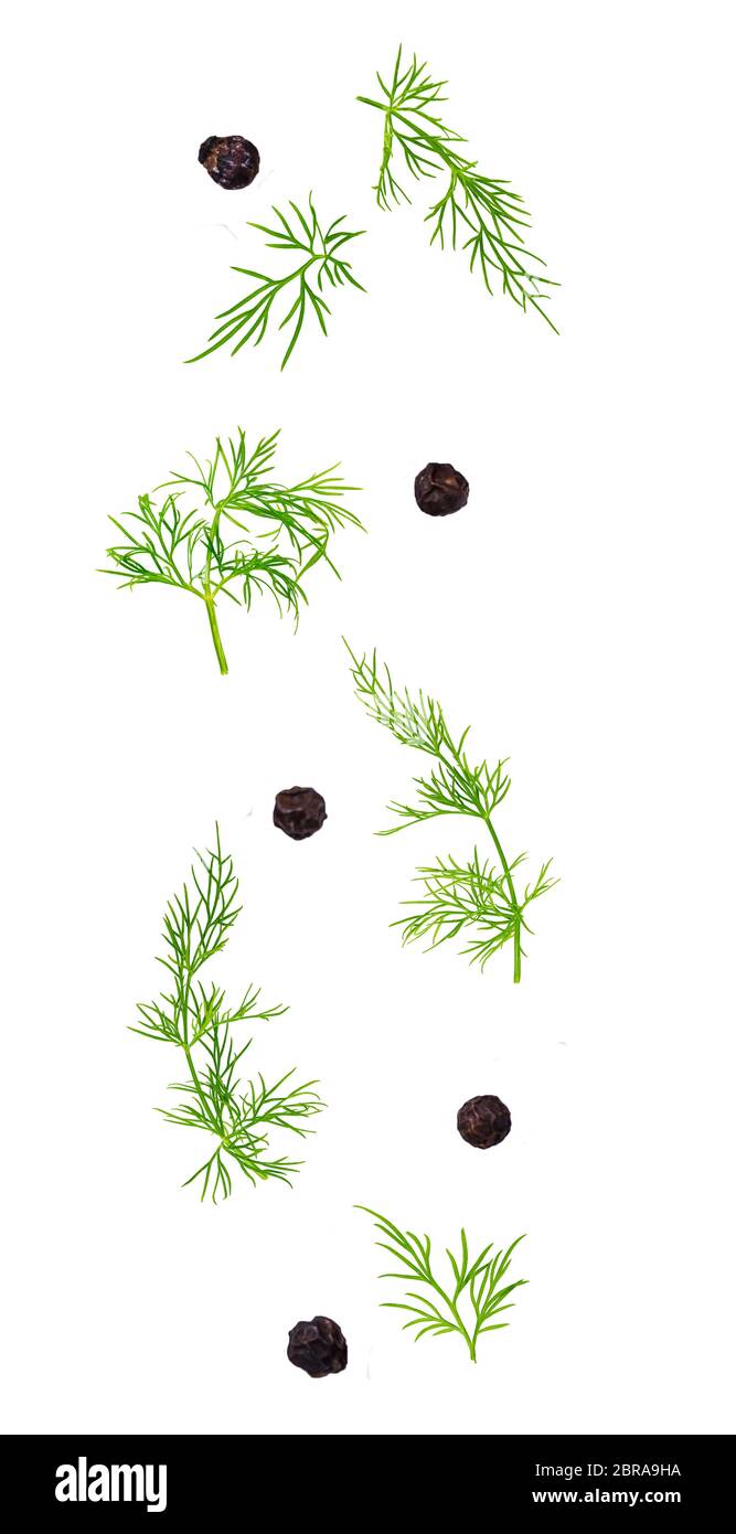 Herb spice package design Cut Out Stock Images & Pictures - Alamy