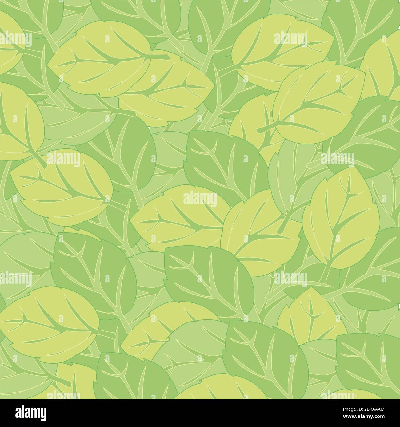 Vector illustration green sheet tree decorative background Stock Photo ...