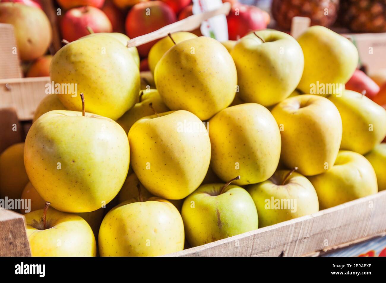 fresh ripe yellow apples golden delicious ready for sale at local ...
