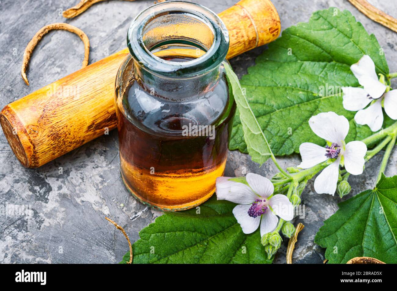 Bottle of extract, tincture of medicinal herbs althaea Stock Photo - Alamy