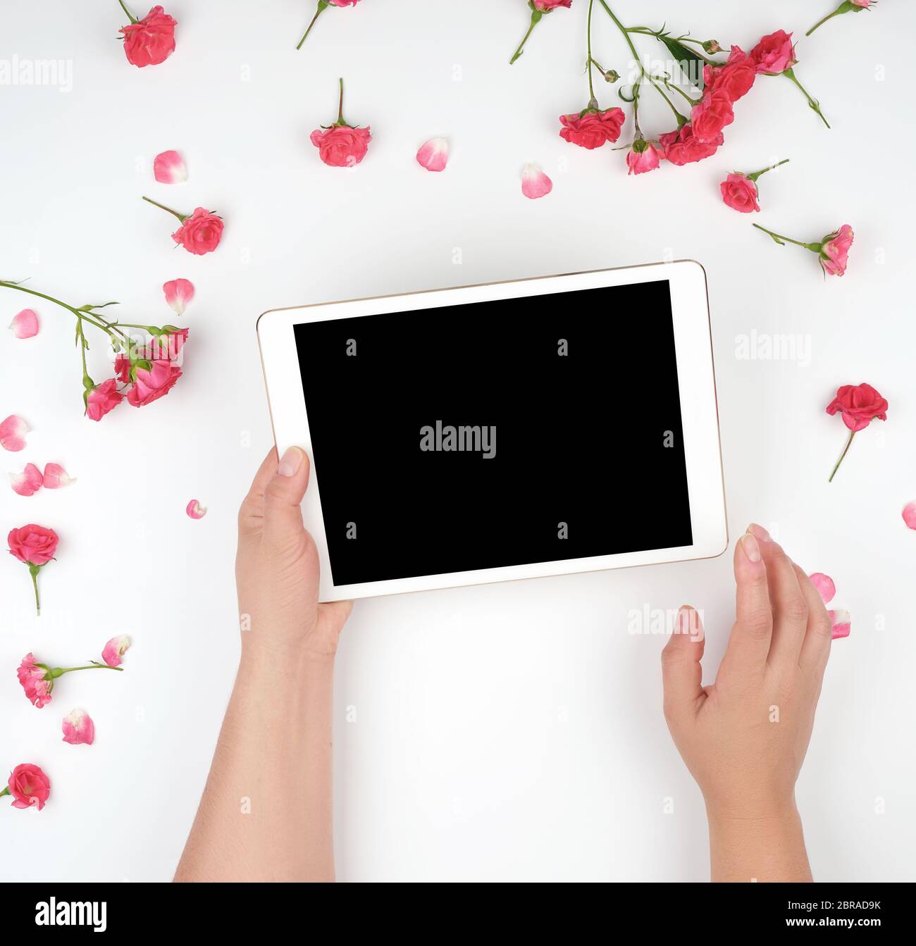 white electronic tablet with a blank black screen and two female hands ...