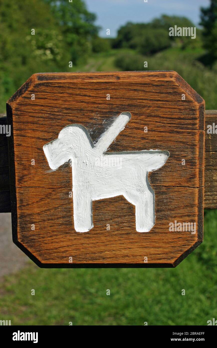 Rustic dogs on leads sign routed into varnished wooden board with white ...