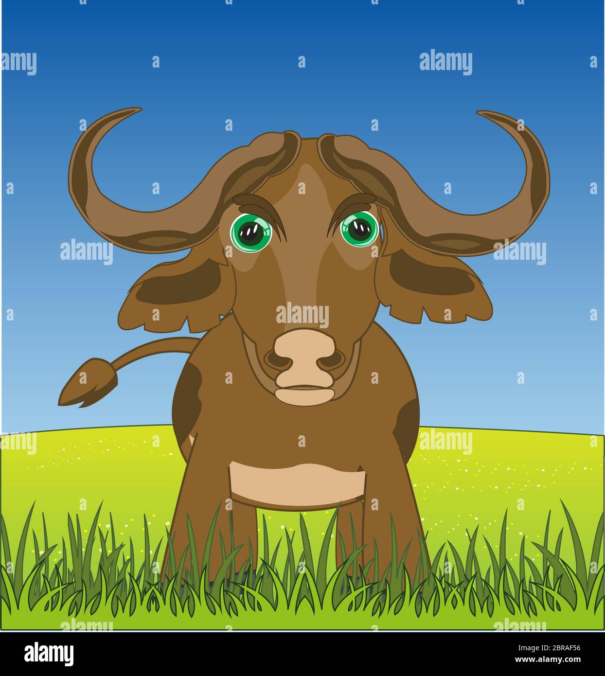 Vector illustration wild ungulate animal buffalo on background of the ...