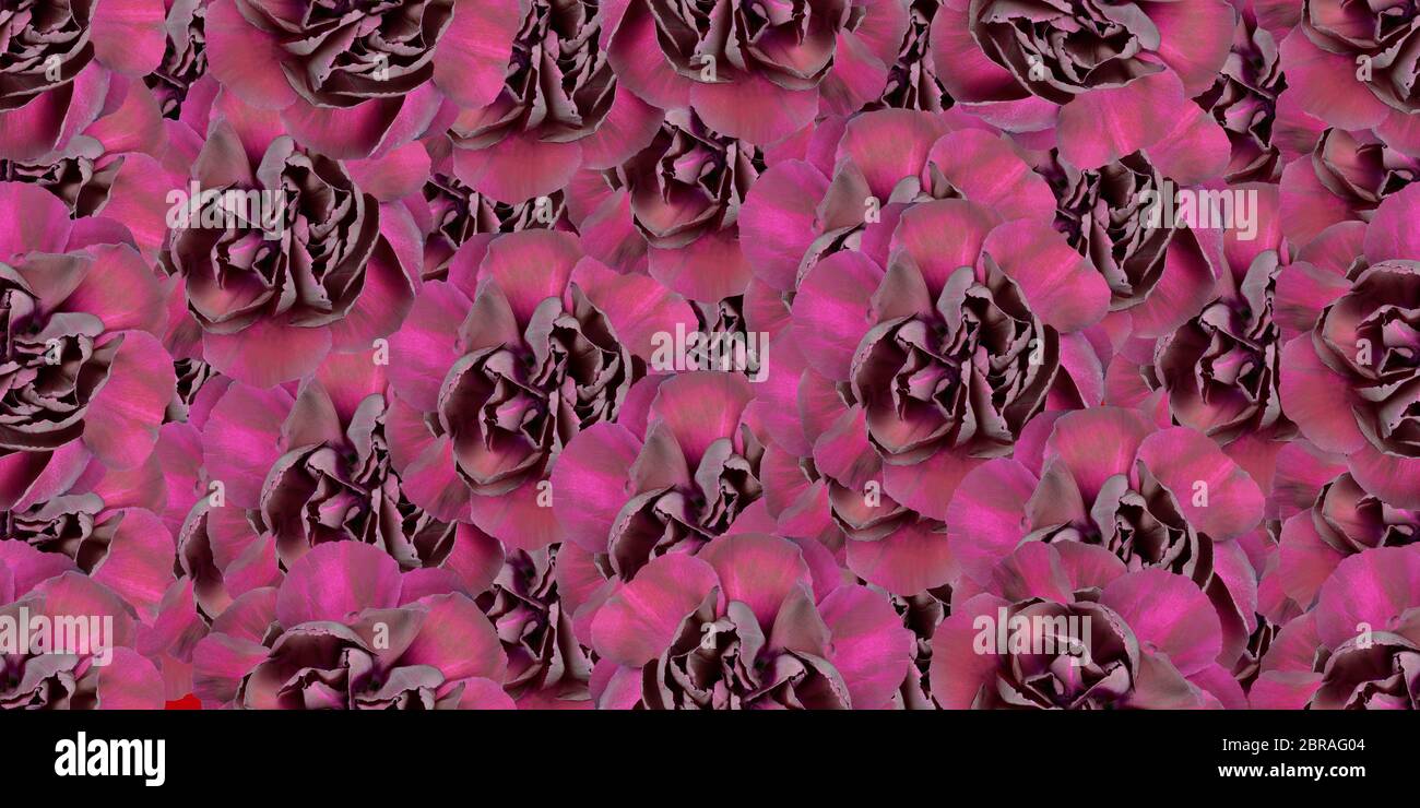 beautiful seamless natural flower background use for web , wrapping ...