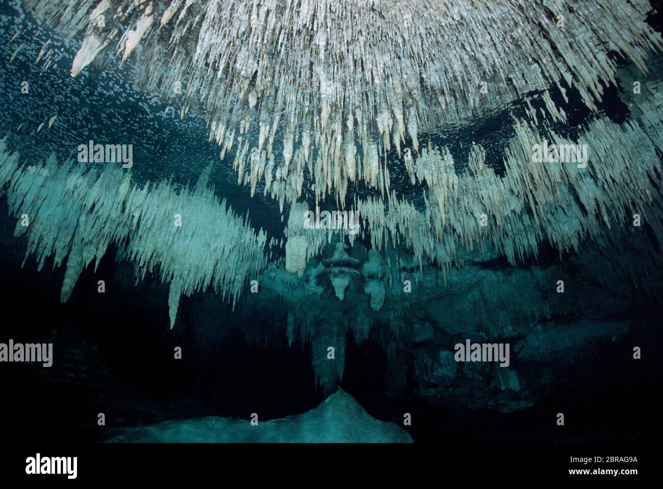 Underwater limestone cave formations hi-res stock photography and ...