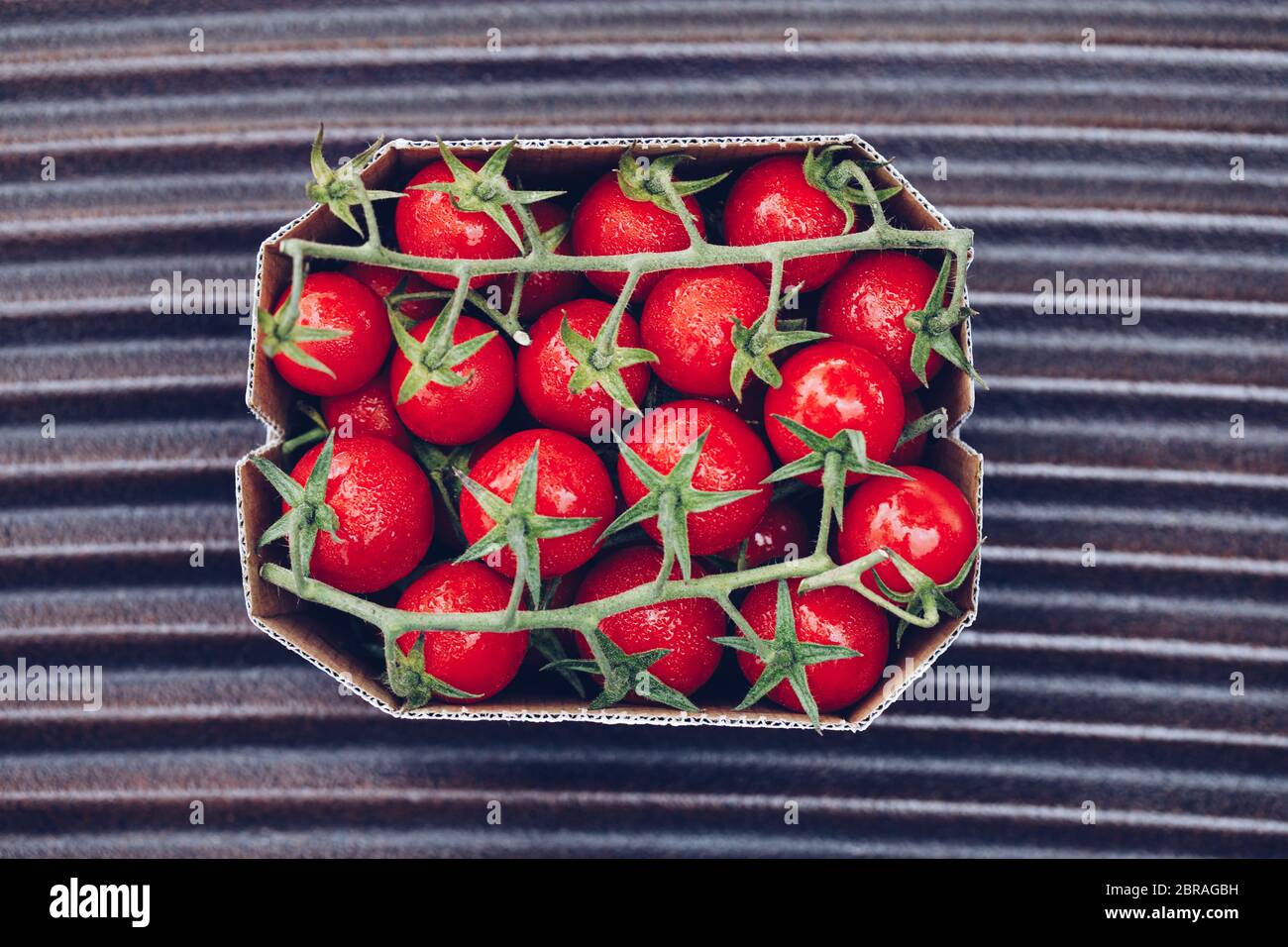 Cocktail cherry tomatoes growing plant hi-res stock photography and ...
