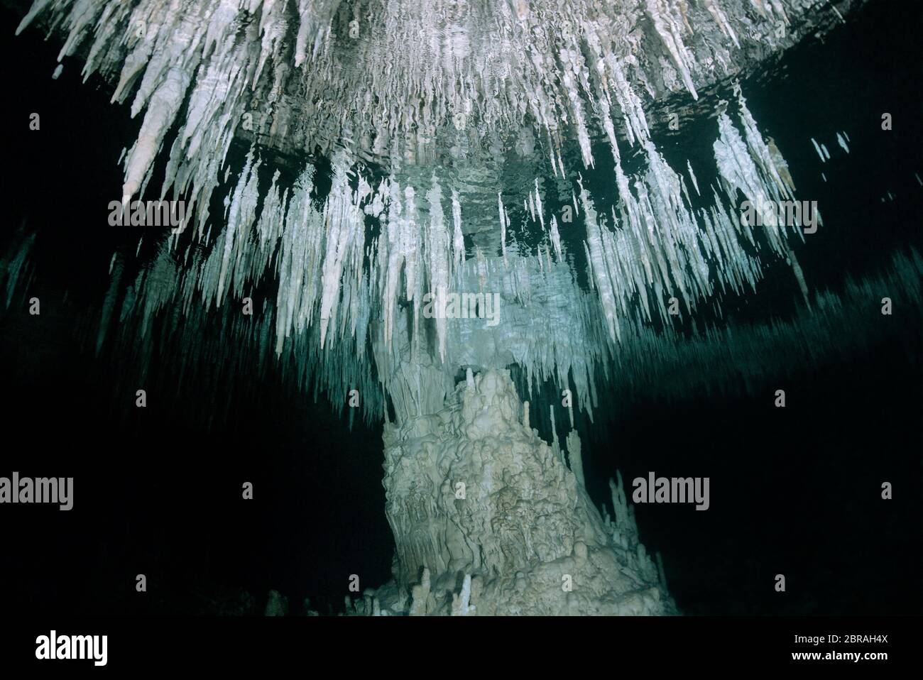 Underwater limestone cave formations hi-res stock photography and ...