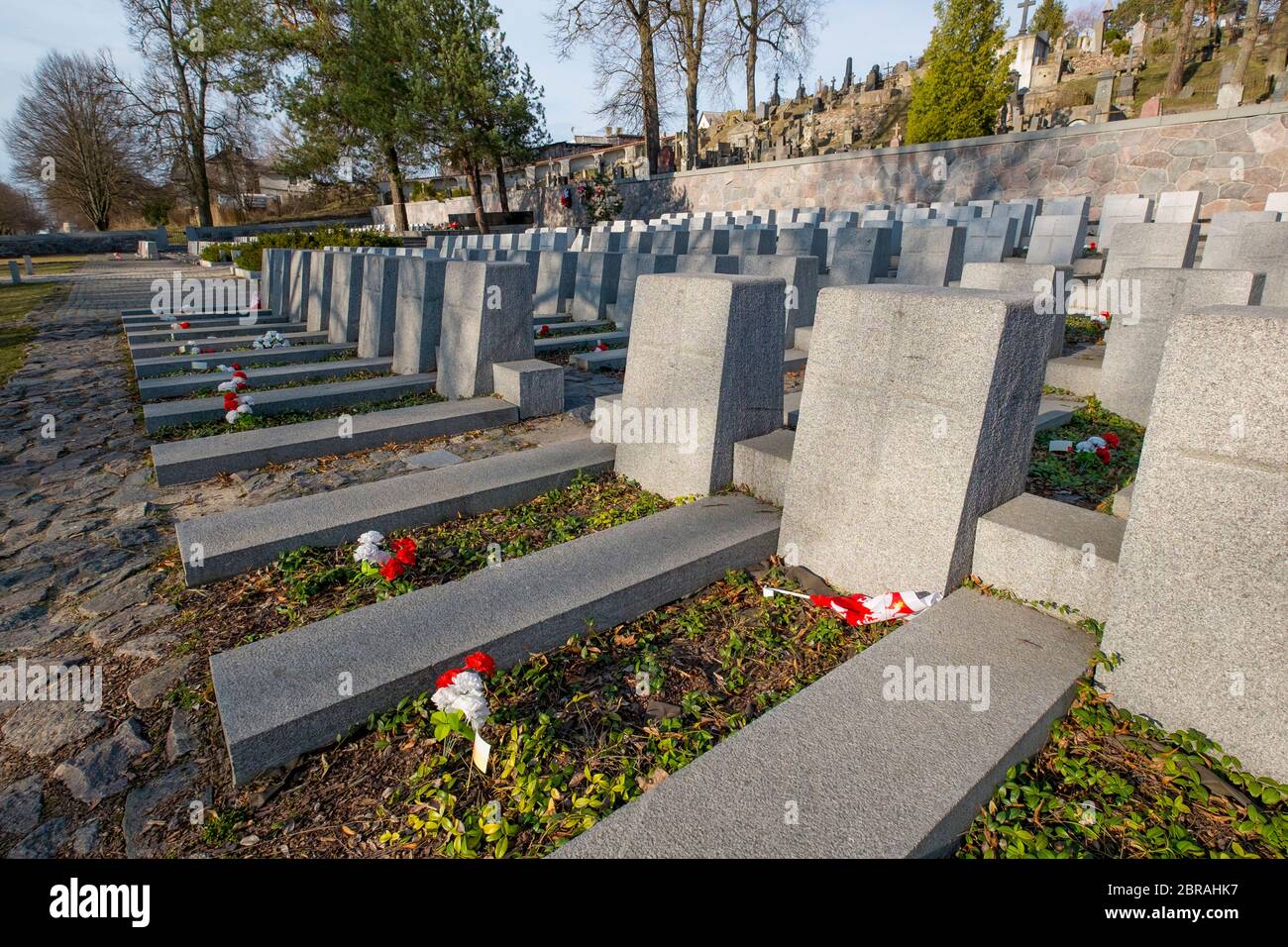 A row of identical grey stone memorial graves for military, army ...
