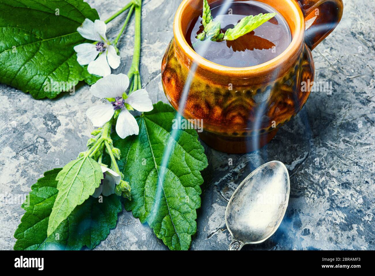 Herbal tea.Medicinal tea with althaea herbs.Medicinal herbs.Healthy ...