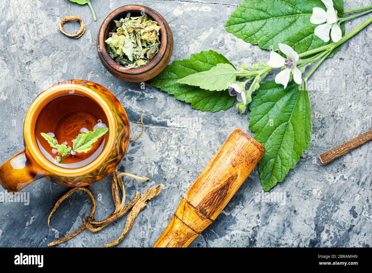Althaea officinalis leaves hi-res stock photography and images - Alamy