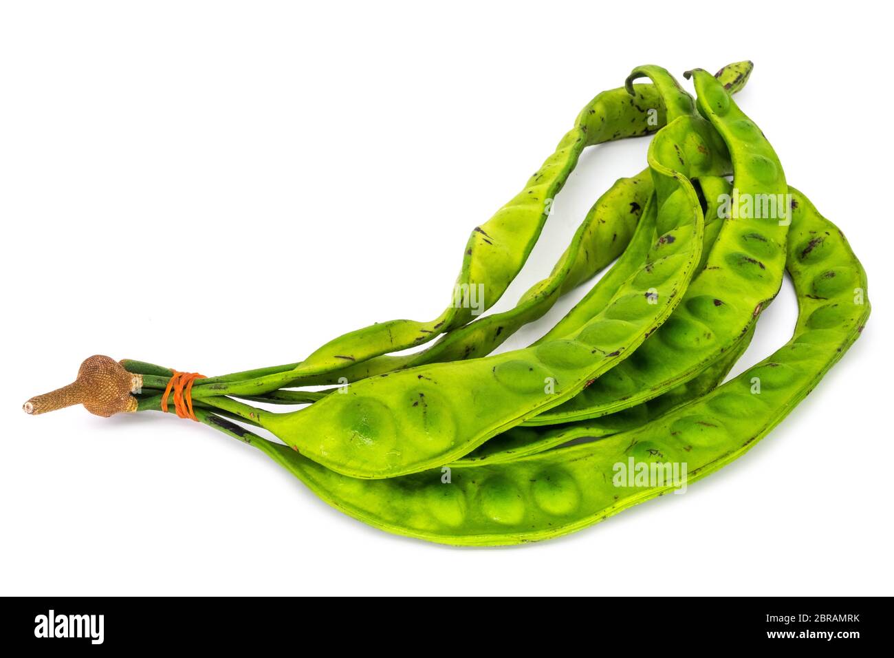 Twisted cluster bean hi-res stock photography and images - Alamy