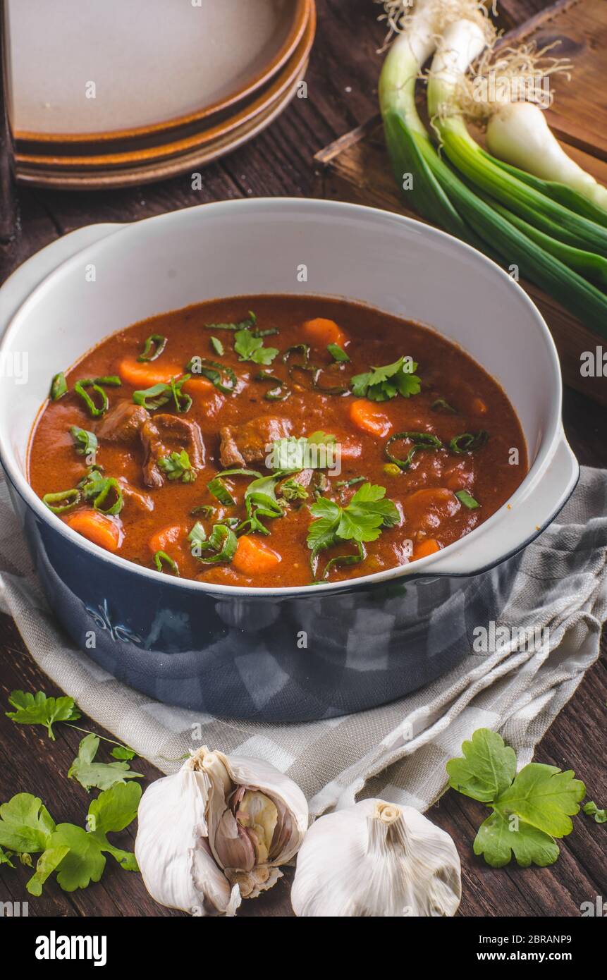 Beef stew with carrots, food photography, lot of herbs inside stew ...
