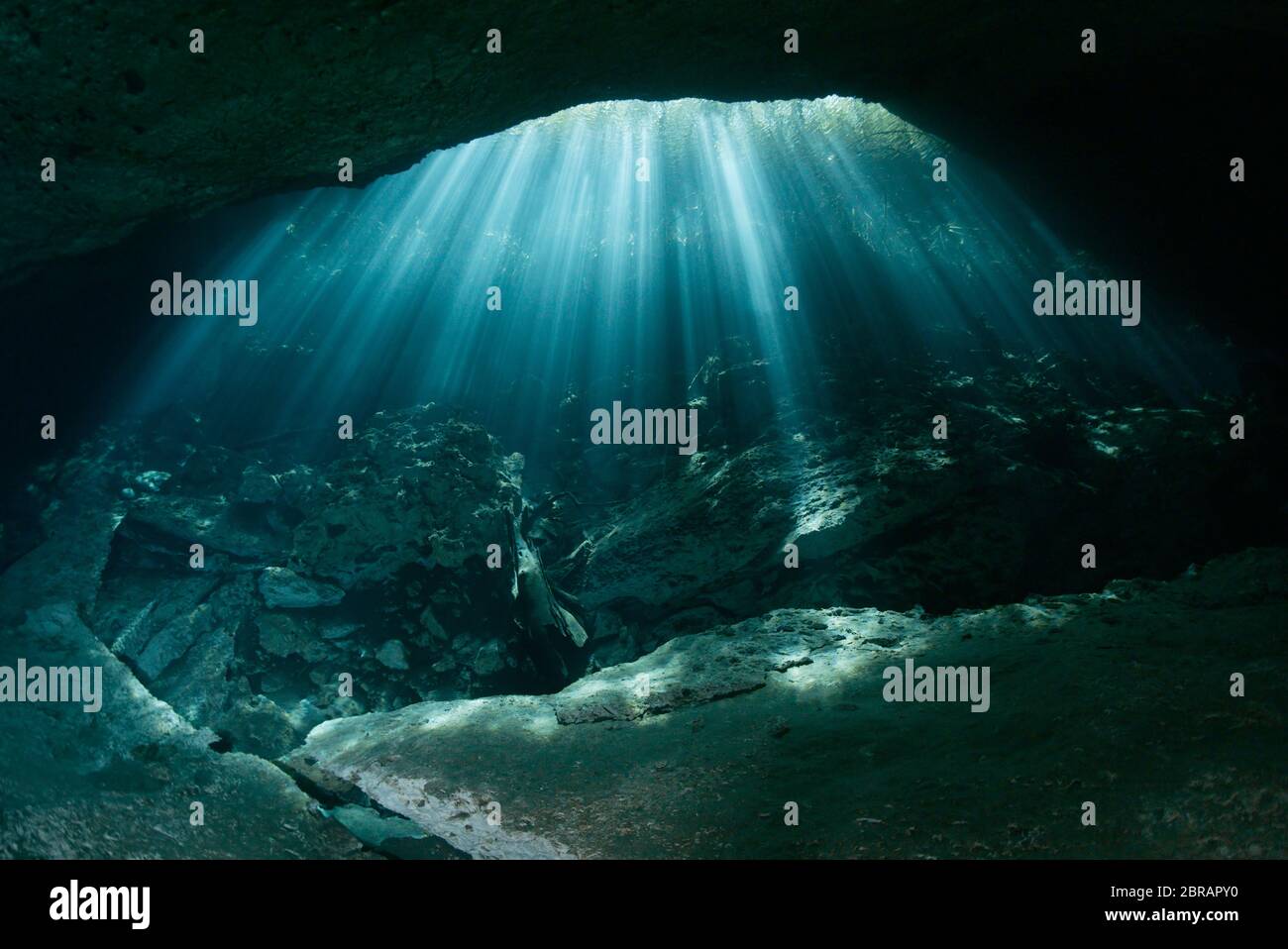 Rays of sun coming from a crack in the stone in the cenote Eden in ...