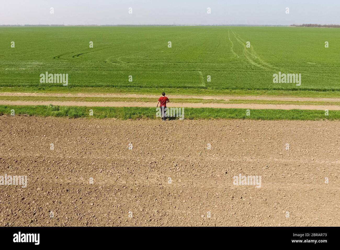 A man runs across the field. Jogging in the open field Stock Photo - Alamy