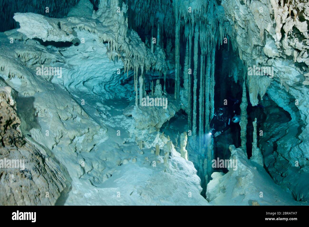 Underwater limestone cave formations hi-res stock photography and ...
