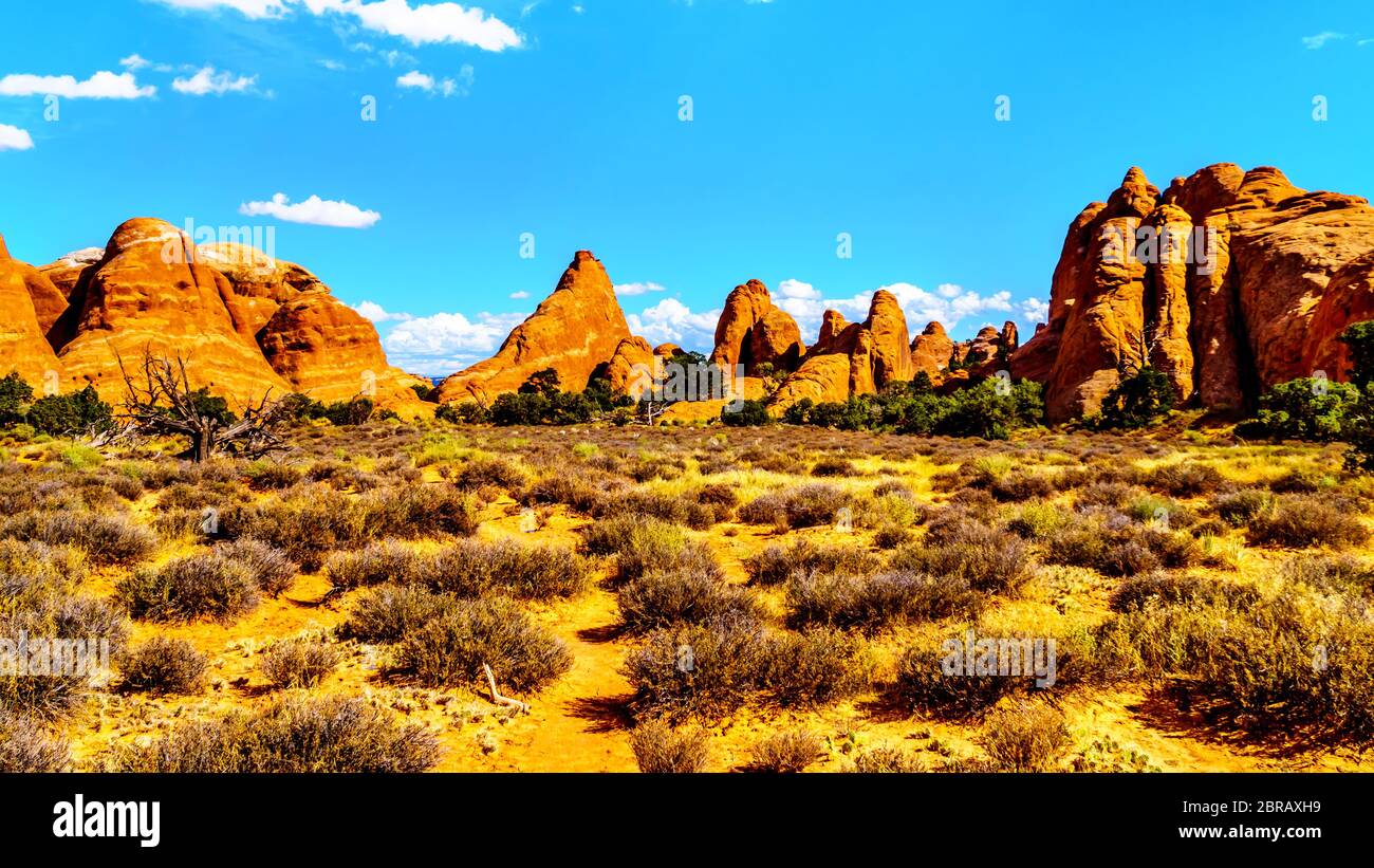 Moab town hi-res stock photography and images - Alamy
