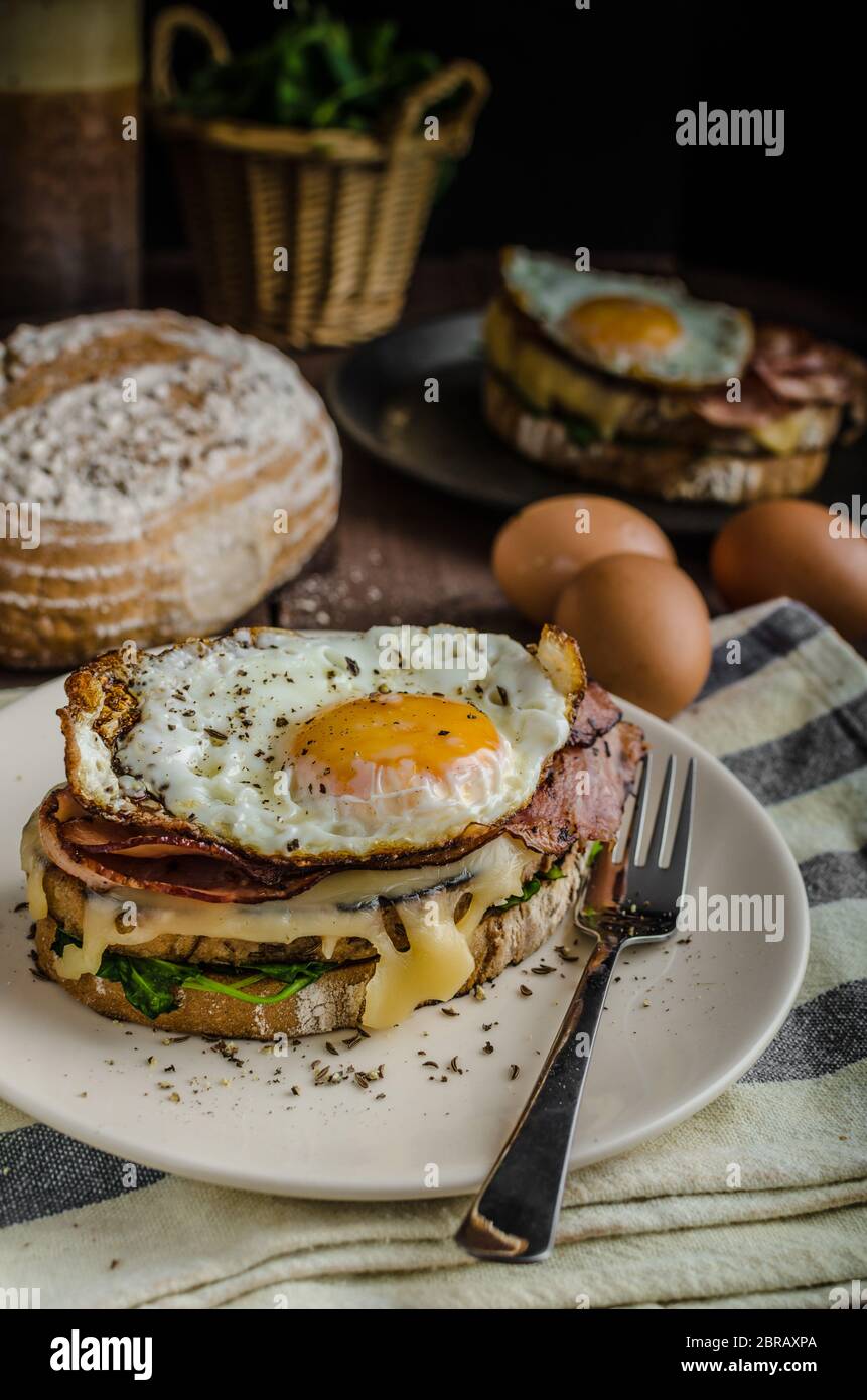 Croque madame delicious french breakfast with ham, cheese, egg and ...