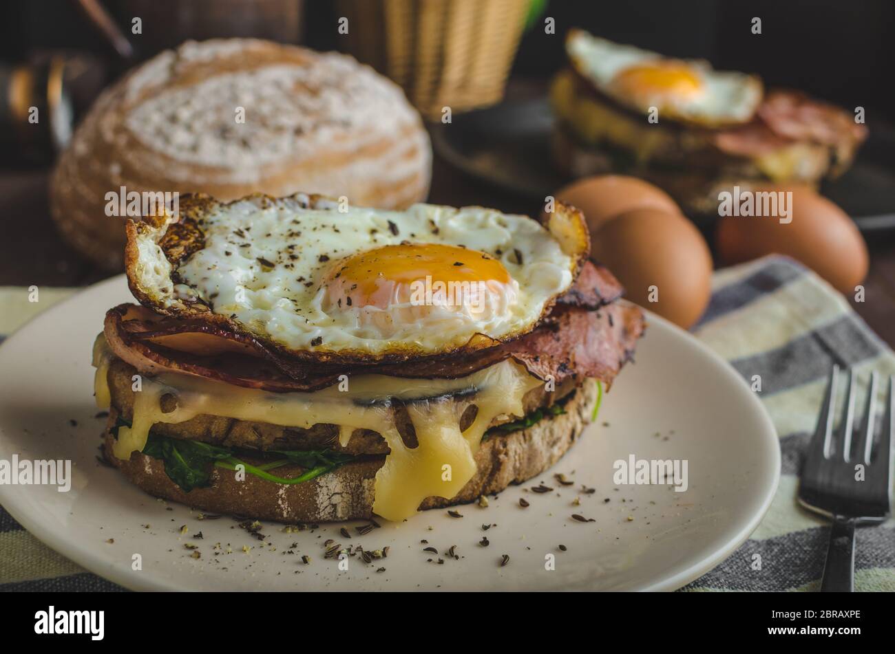 Croque madame delicious french breakfast with ham, cheese, egg and ...