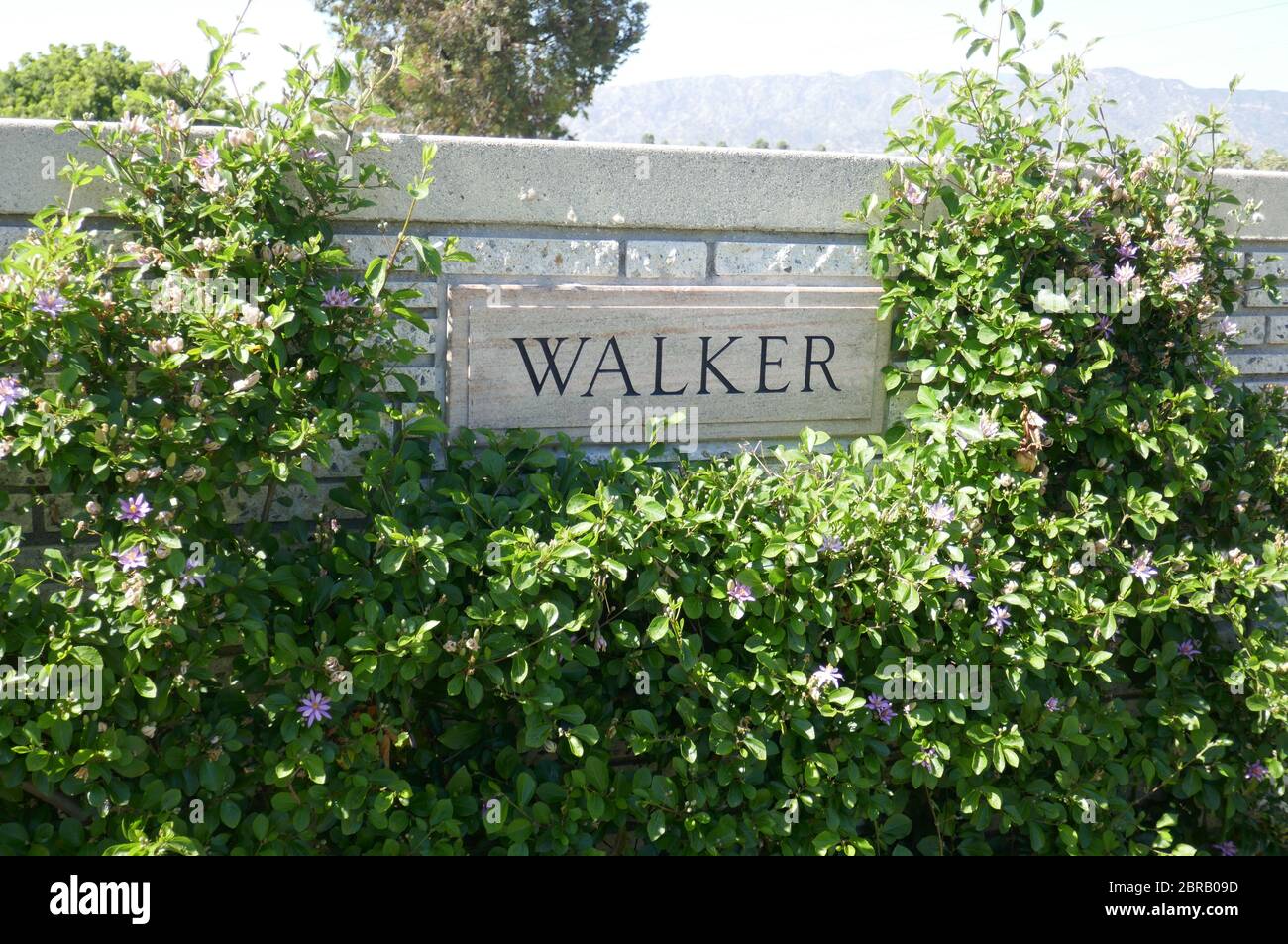 Los Angeles, California, USA 20th May 2020 A general view of atmosphere of Paul Walker's Grave ...