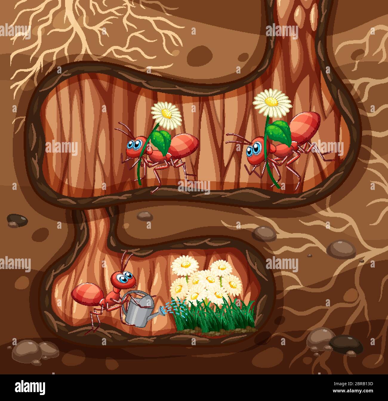 Underground scene with many ants and flowers illustration Stock Vector ...