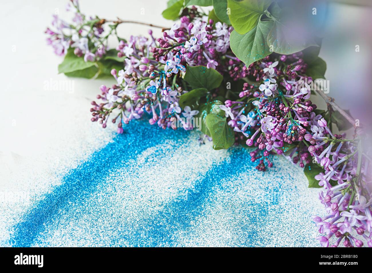 floral layout and template . Branches of fresh fragrant purple lilac on ...