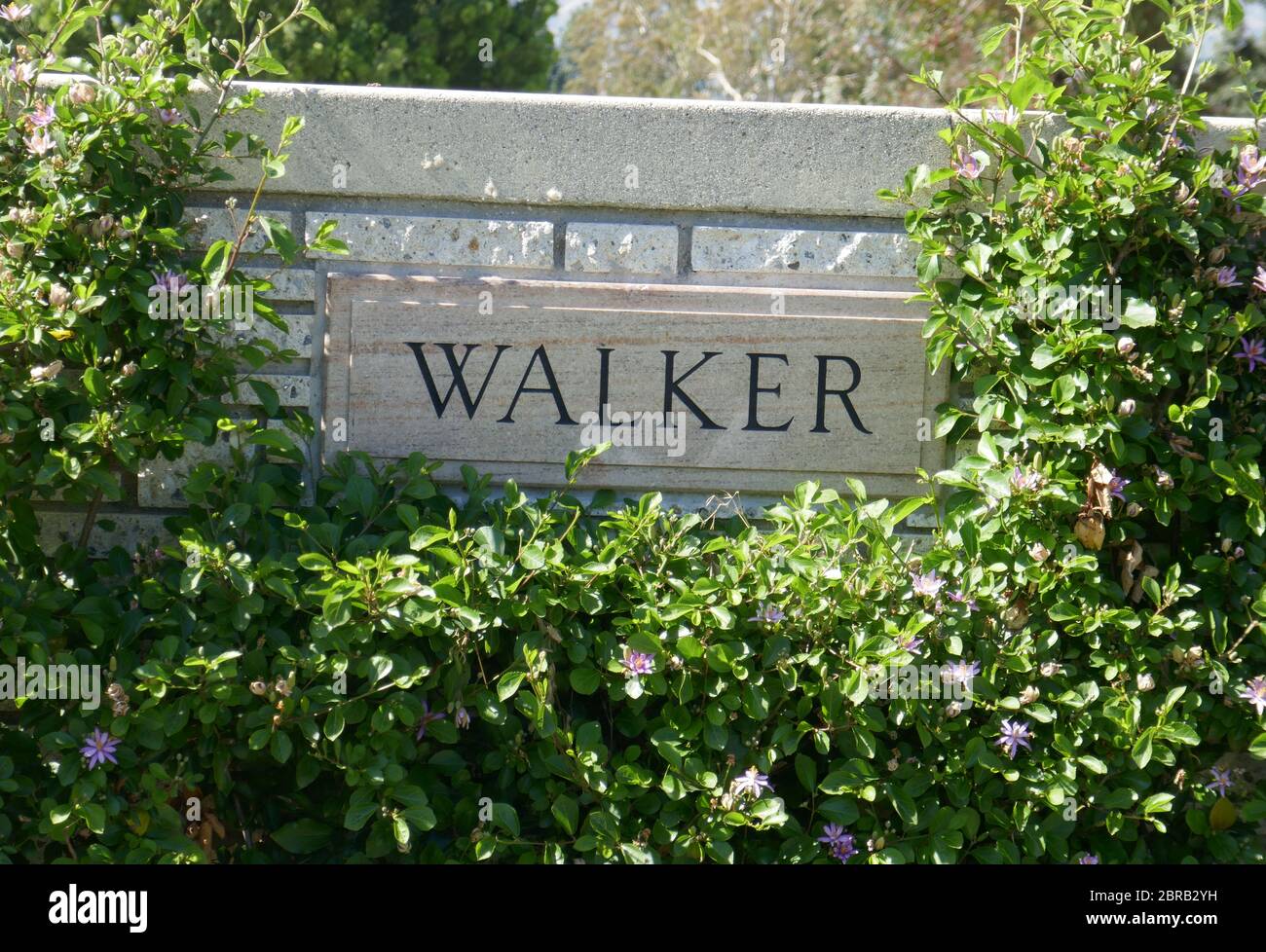 Los Angeles, California, USA 20th May 2020 A general view of atmosphere of Paul Walker's Grave ...