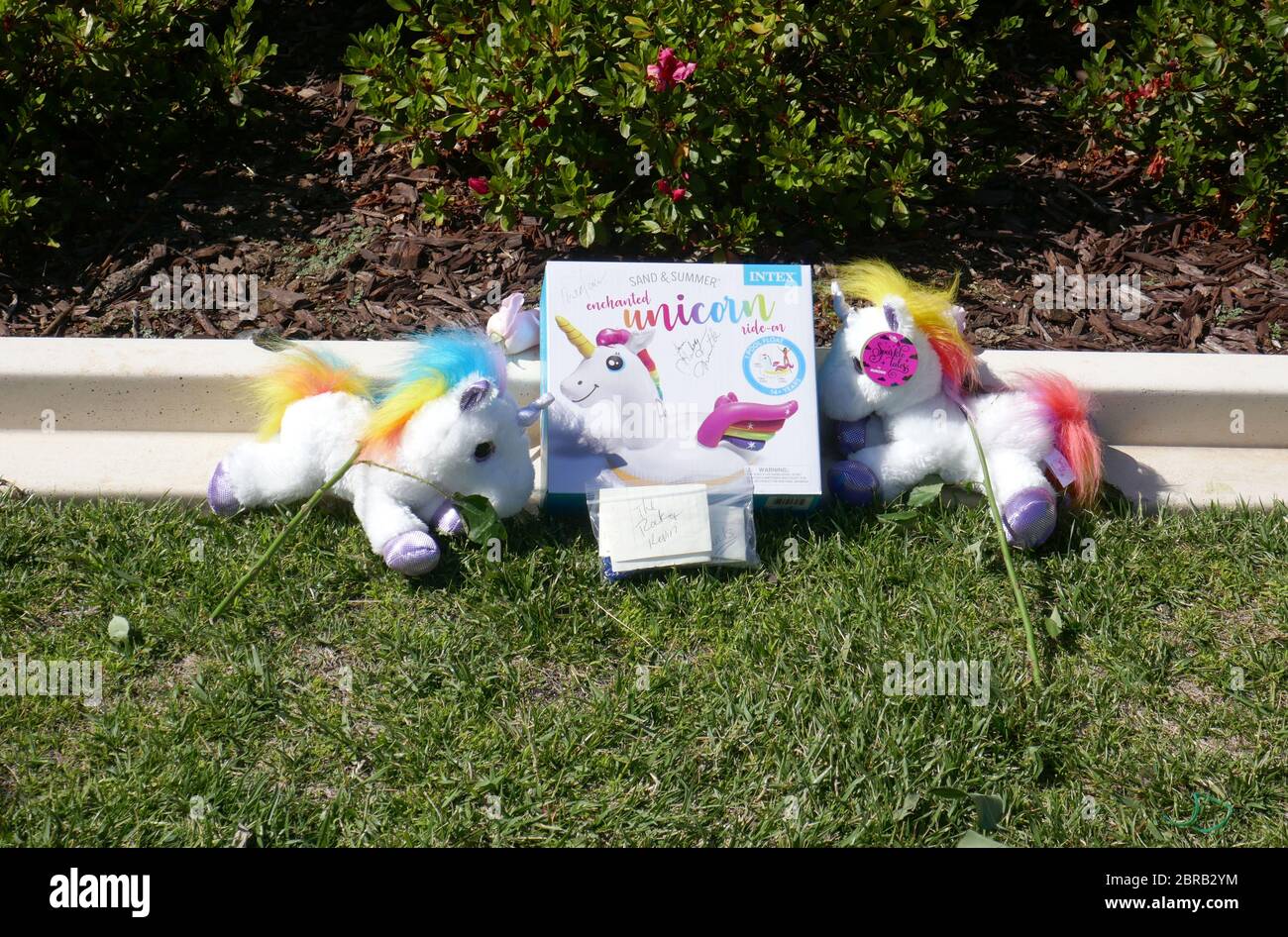 Forest lawn memorial paul walker hi-res stock photography and images - Alamy