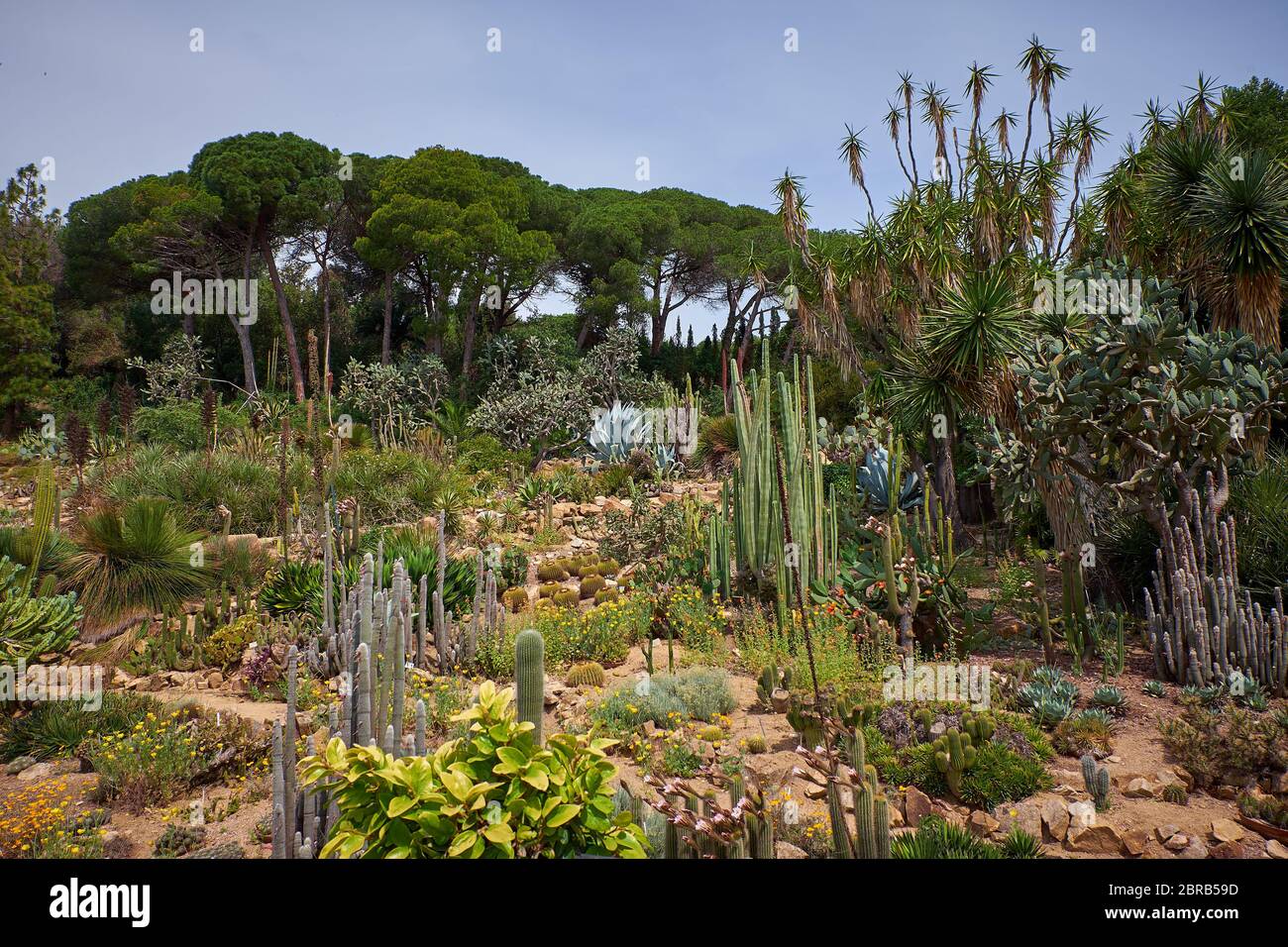 Marimurtra Botanical garden in Blanes, Catalonia Stock Photo - Alamy