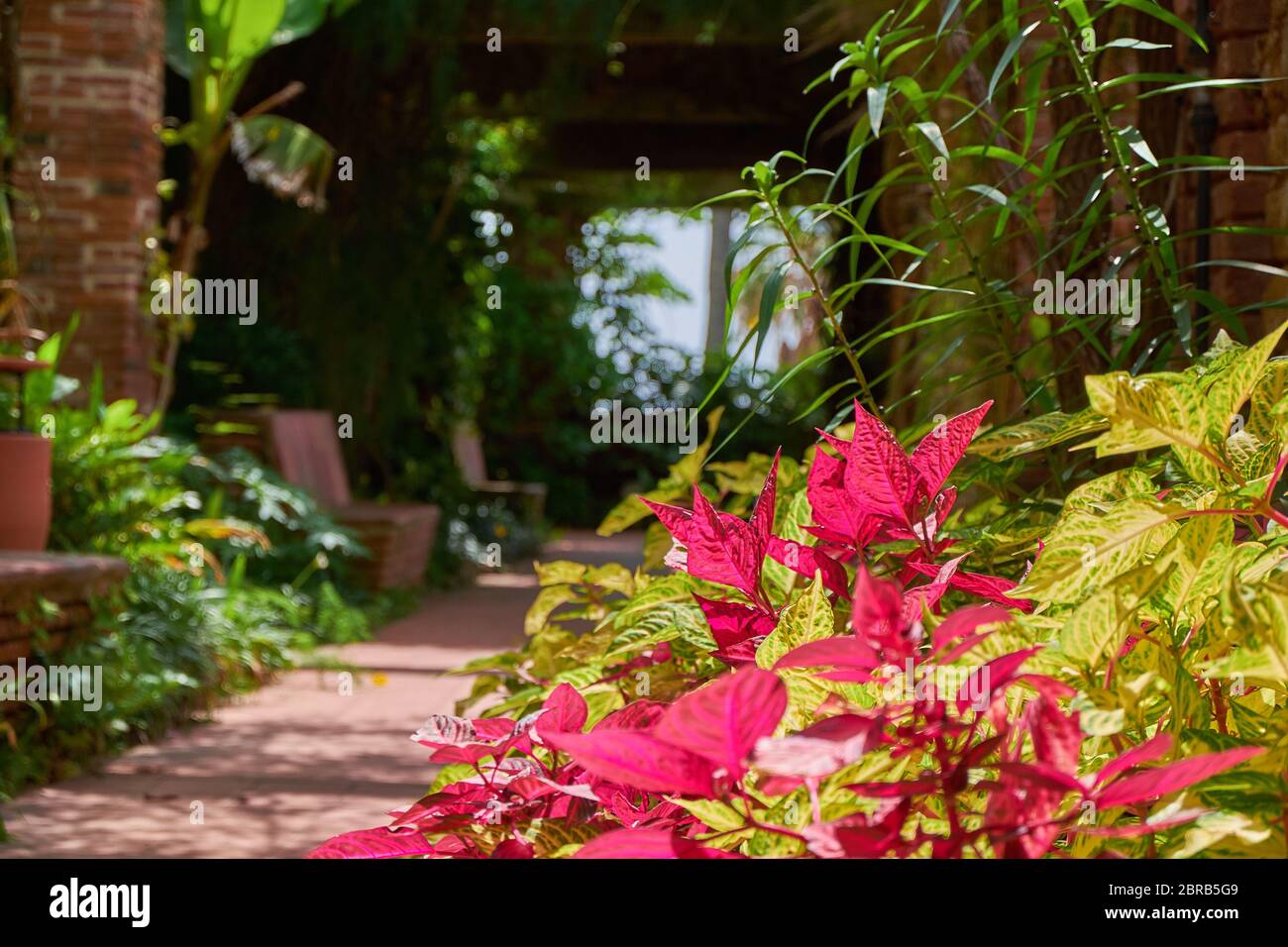 Marimurtra Botanical garden in Blanes, Catalonia Stock Photo - Alamy