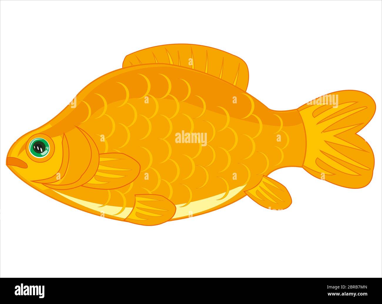 Vector illustration of river fish carp cartoon Stock Photo - Alamy