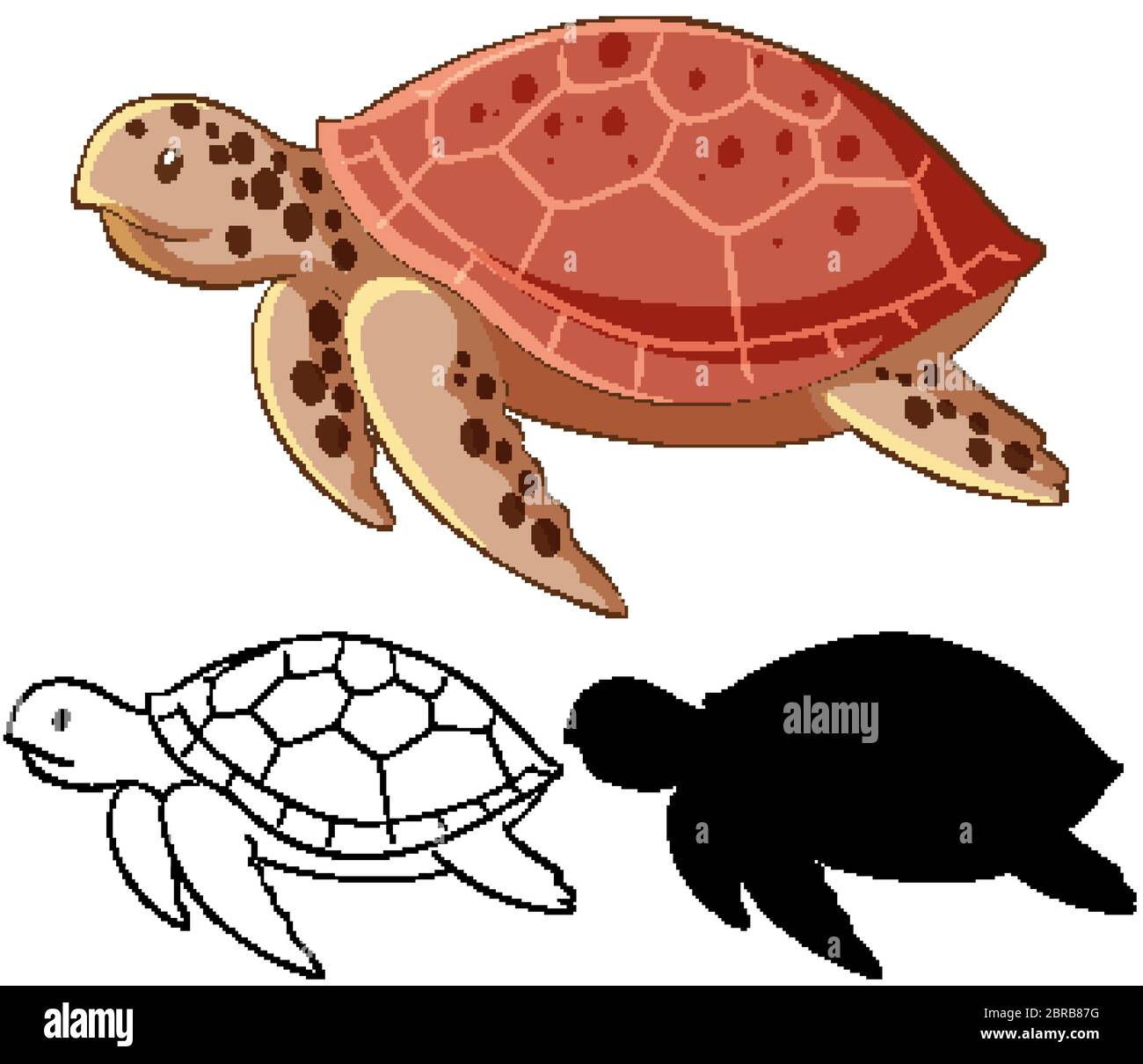 Set of turtle cartoon illustration Stock Vector Image & Art - Alamy