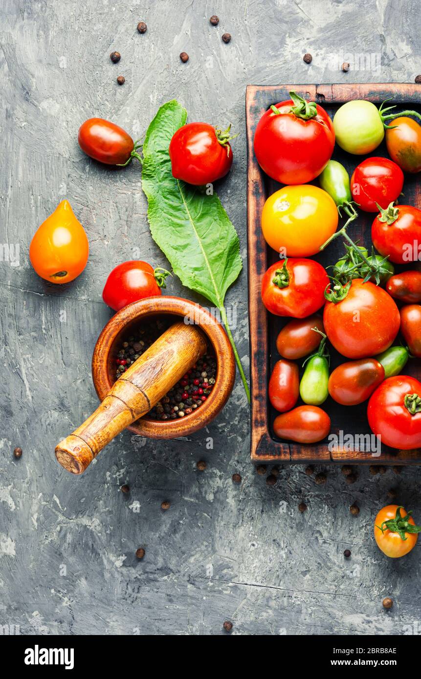 Autumn harvest of tomatoes.Canning tomatoes.Pickling of ripe tomatoes ...