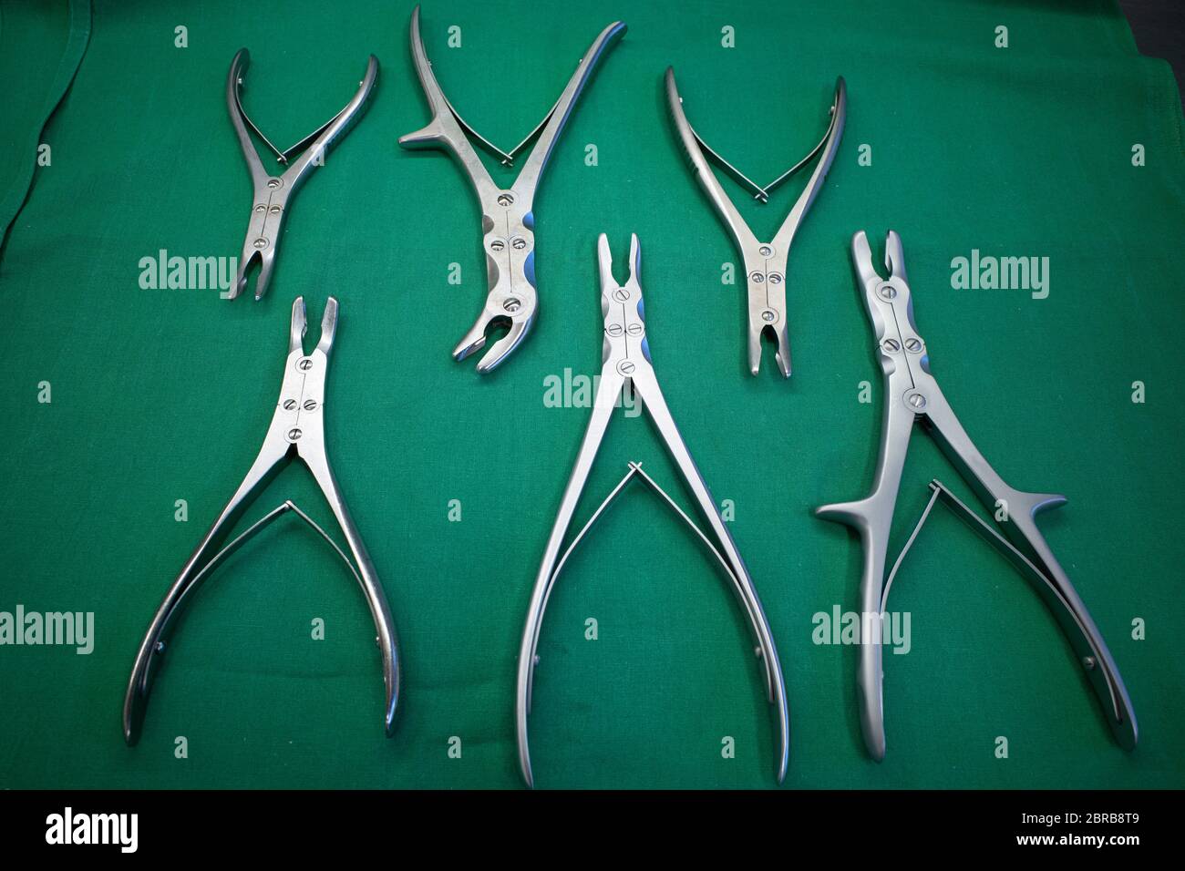 different surgical bone forceps lie side by side on a surgical drape ...