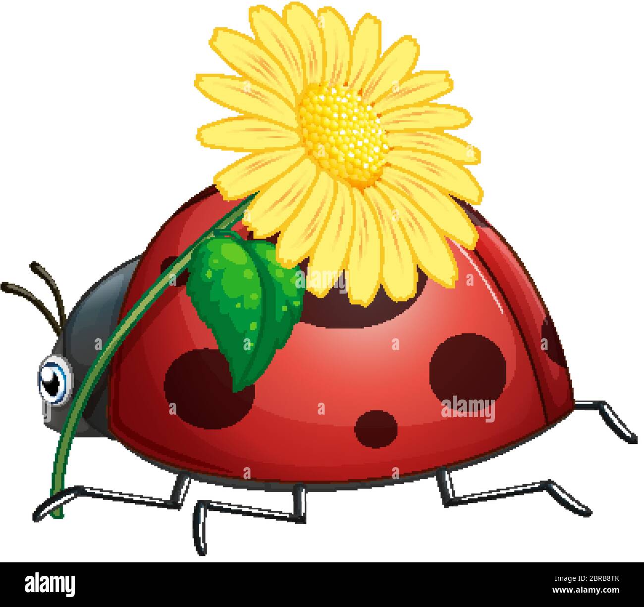 Ladybug holding yellow flower illustration Stock Vector Image & Art - Alamy