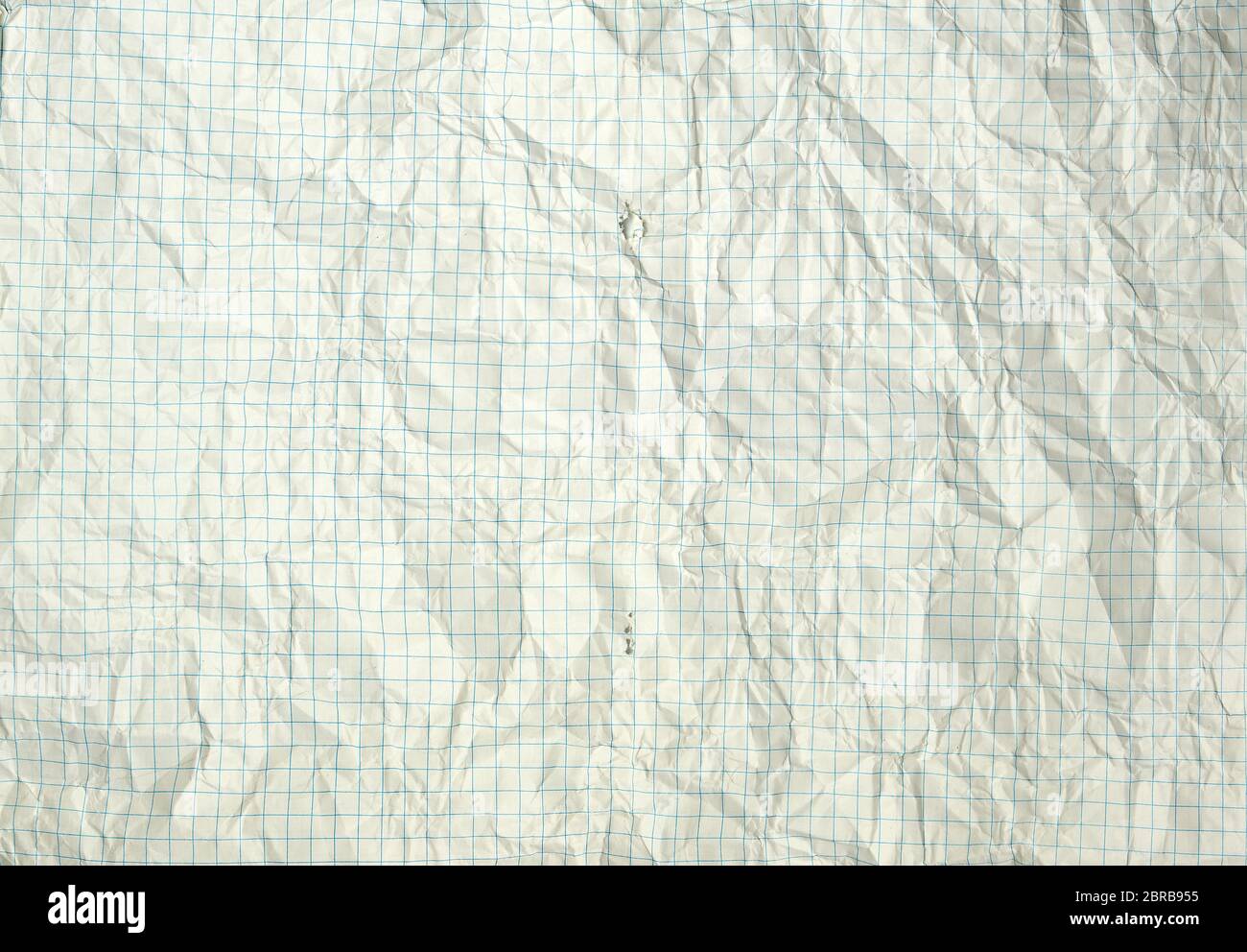 torn and wrinkled white blank squared sheet from a school notebook ...