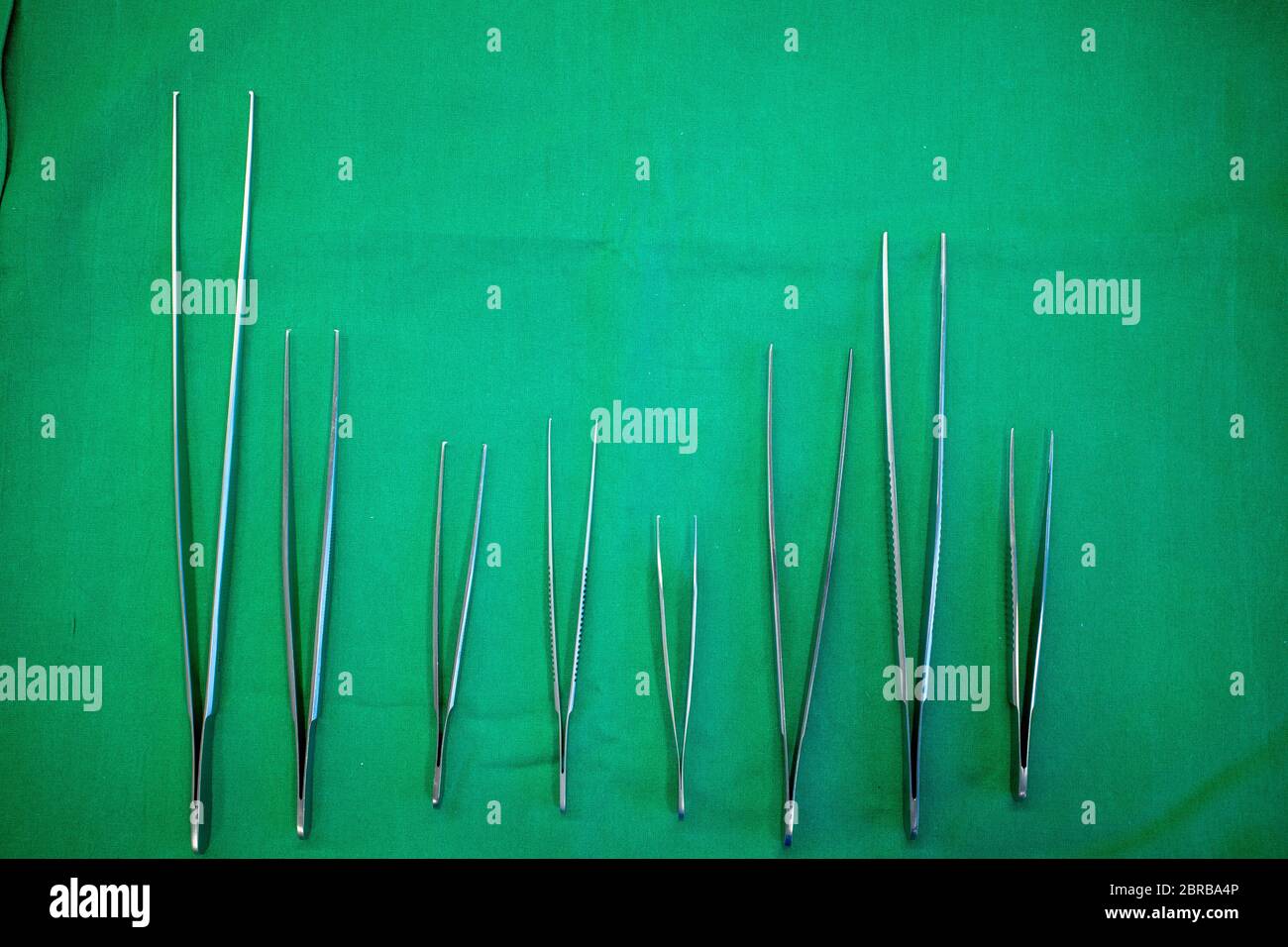 different surgical forceps lie side by side on a surgical drape Stock ...